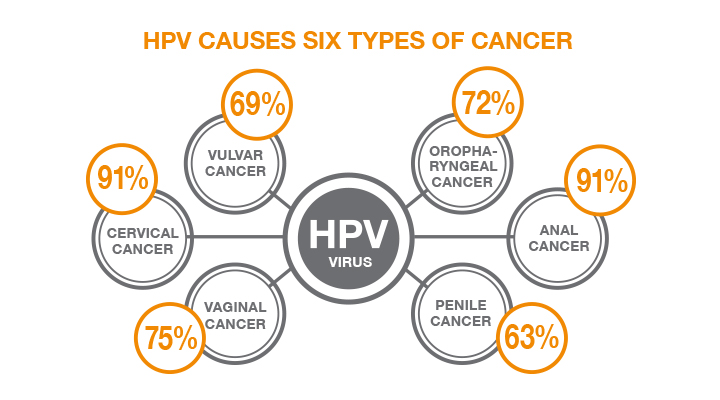 Understanding Human Papillomavirus HPV Variants